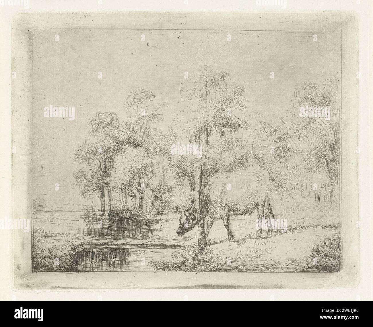 Landscape with a cow next to a ditch, Antonie Franciscus Dona, 1817 ...