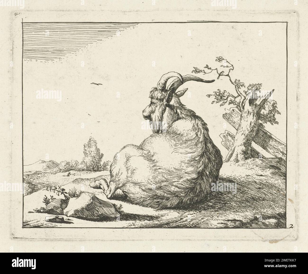 Bok seated by fallen tree, Marcus de Bye, After Paulus Potter, 1728 - c ...