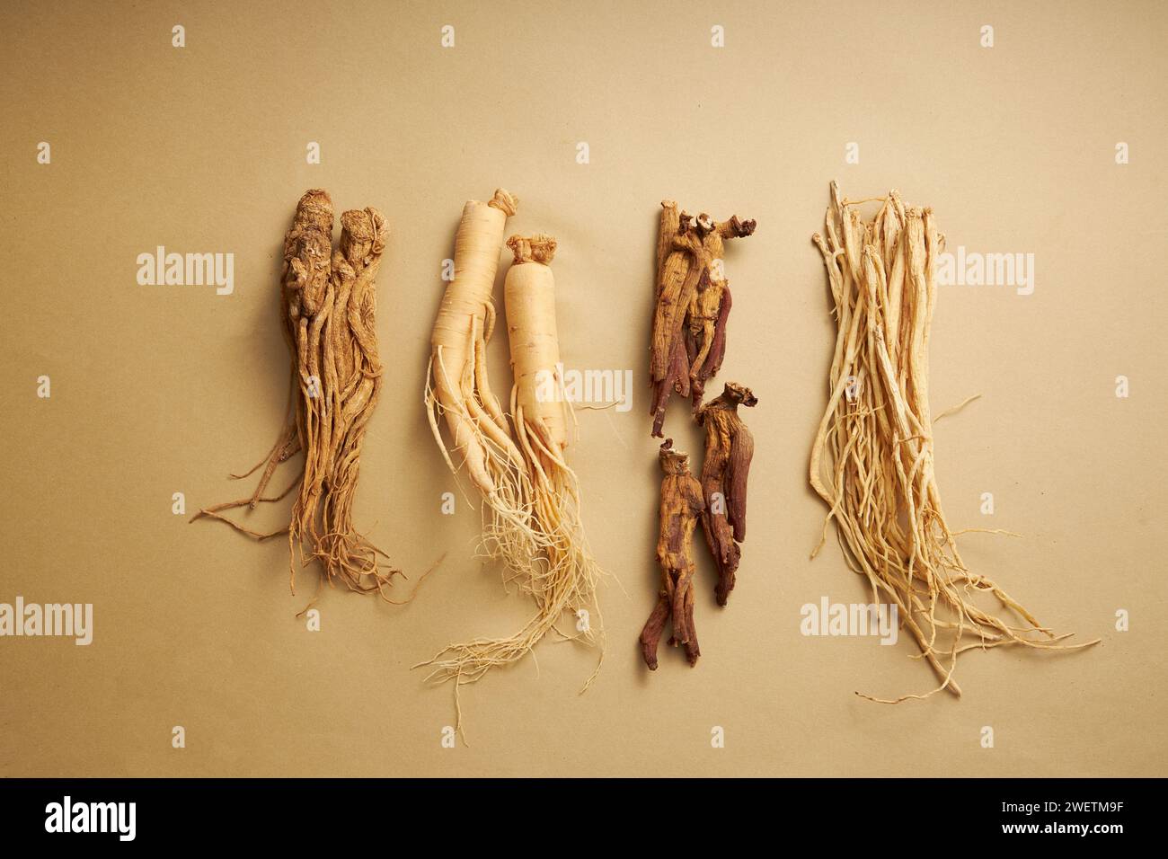 Scenes of 4 different types of ginseng on brown background, in order ...
