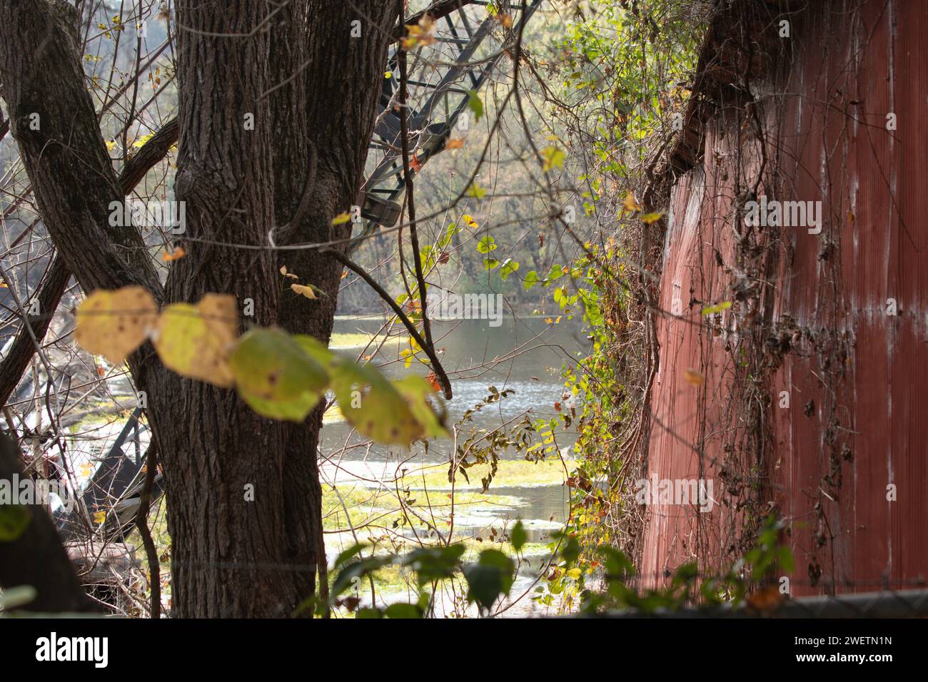 Obscured landscape hi-res stock photography and images - Alamy