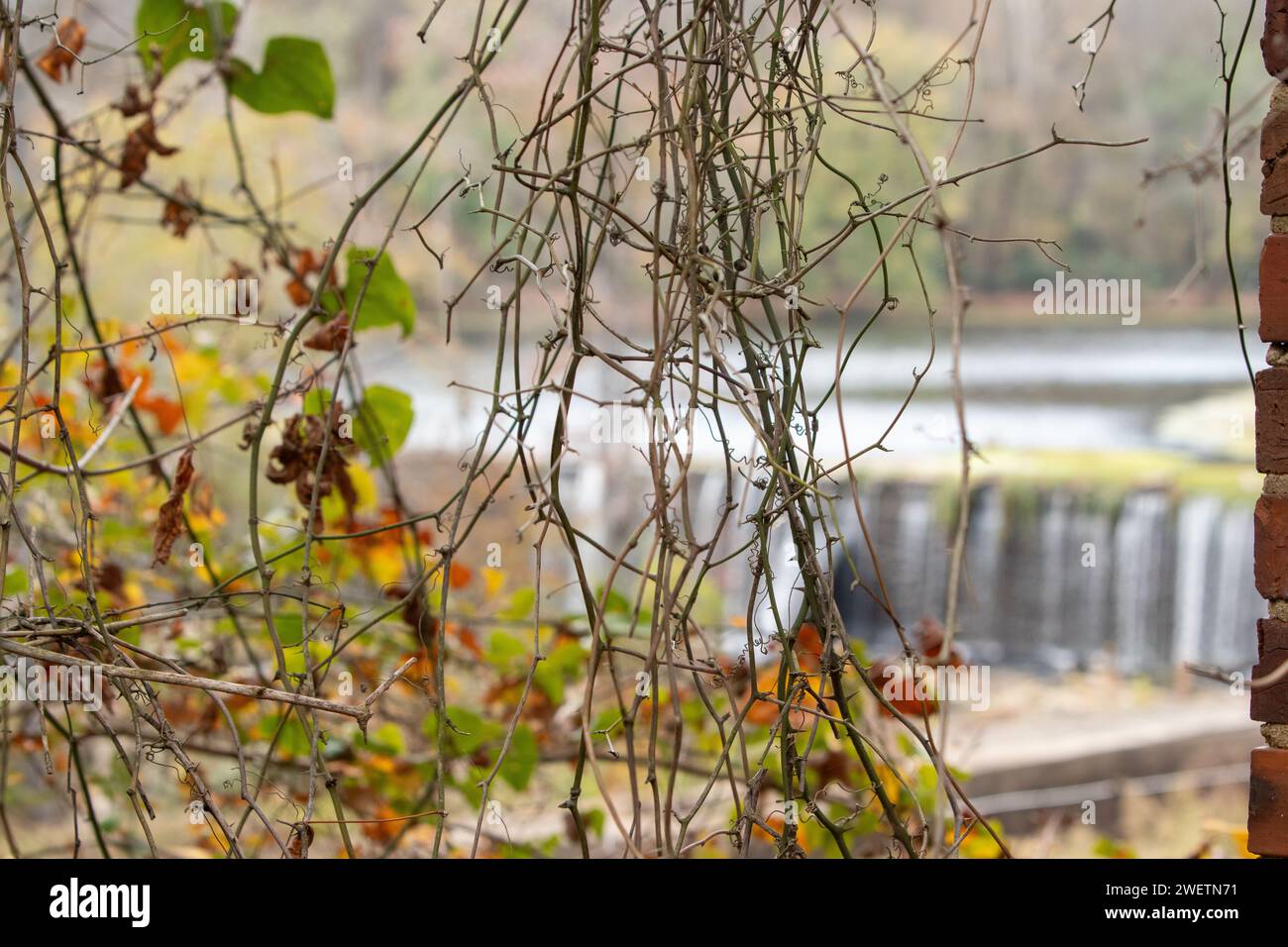 Obscured landscape hi-res stock photography and images - Alamy