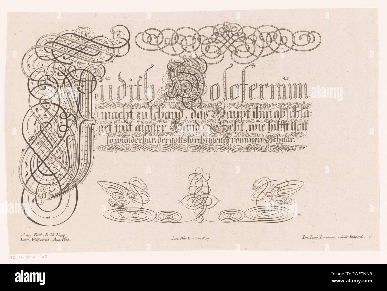 Bottom two swans hi-res stock photography and images - Alamy