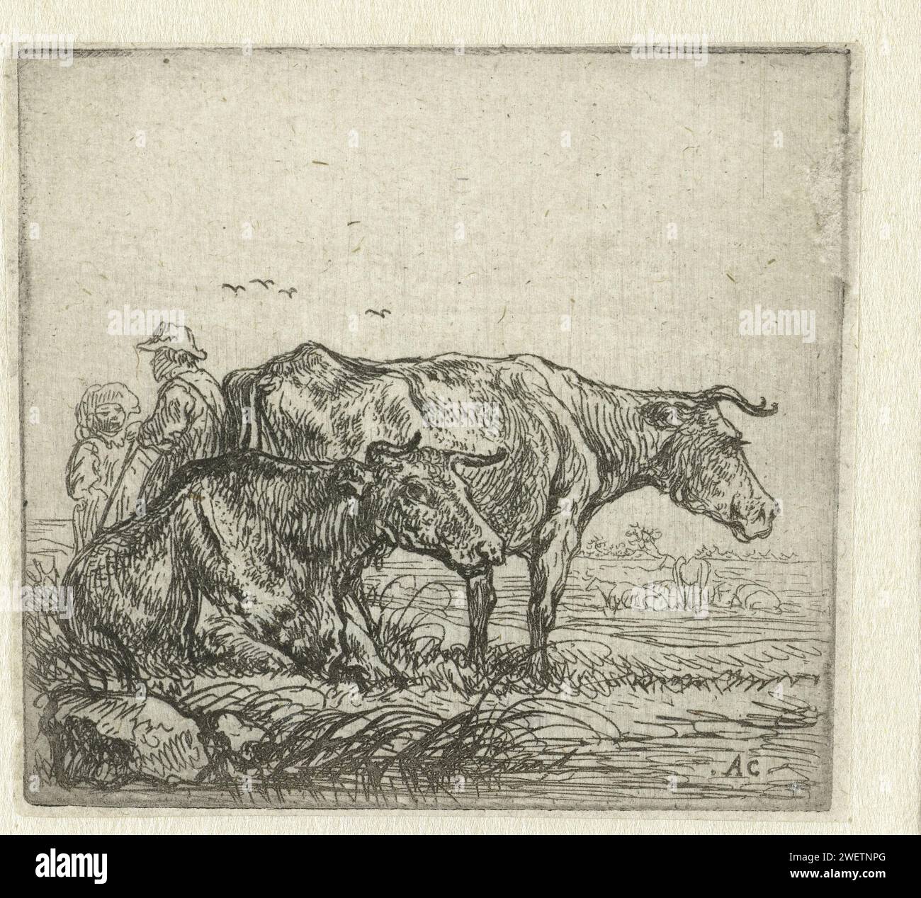 Two cows and shepherds, Aelbert Cuyp, 1630 - 1691 print paper etching ...