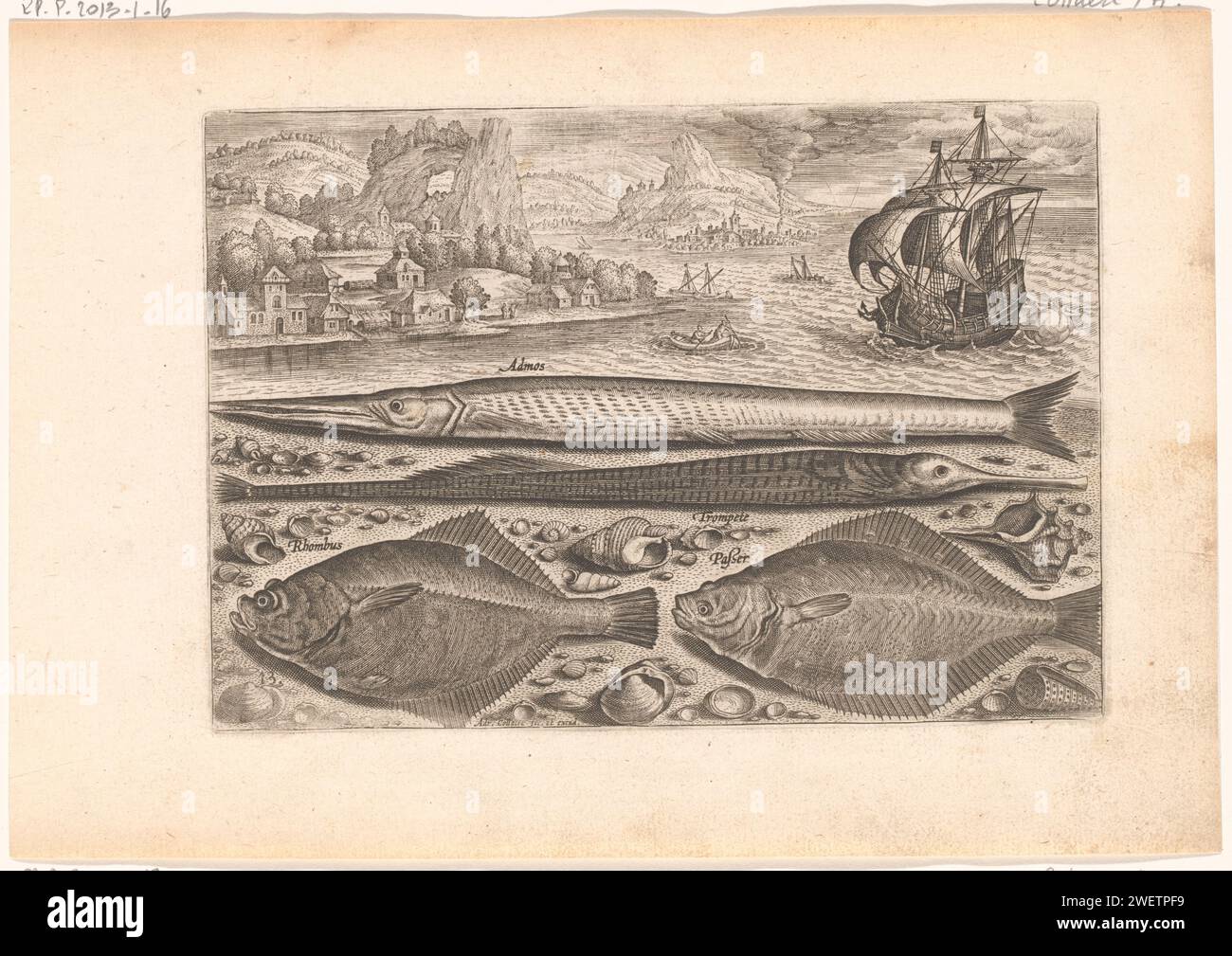 Four fish on the beach, after 1595 - 1618 print A Geep, a sea needle, a ...