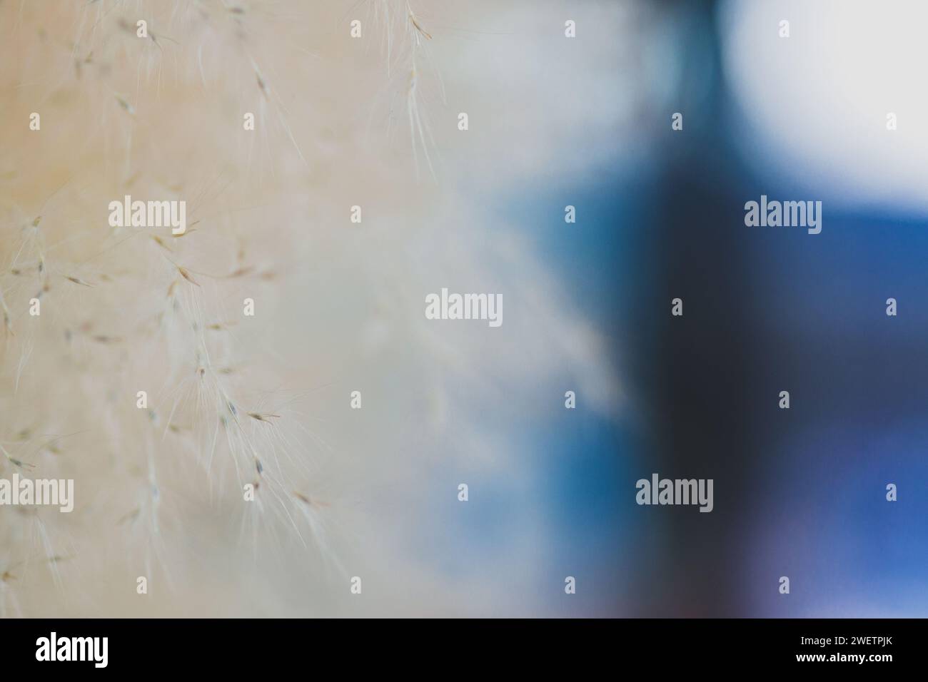 Texture for contemporary design and art projects hi-res stock ...