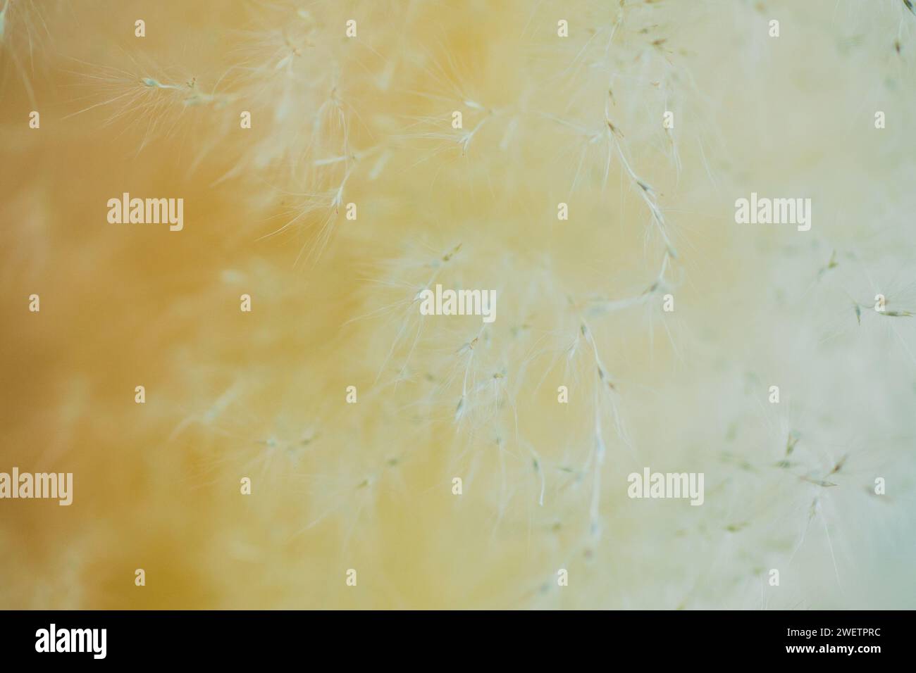 Texture for contemporary design and art projects hi-res stock ...