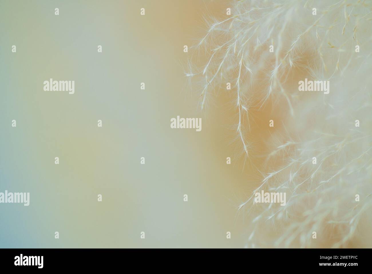 Texture for contemporary design and art projects hi-res stock ...