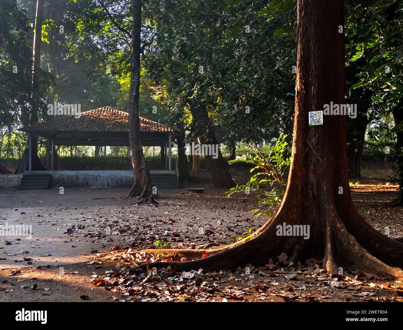 25 January 2024, Pune, India, Empress Botanical Garden, a beautiful ...