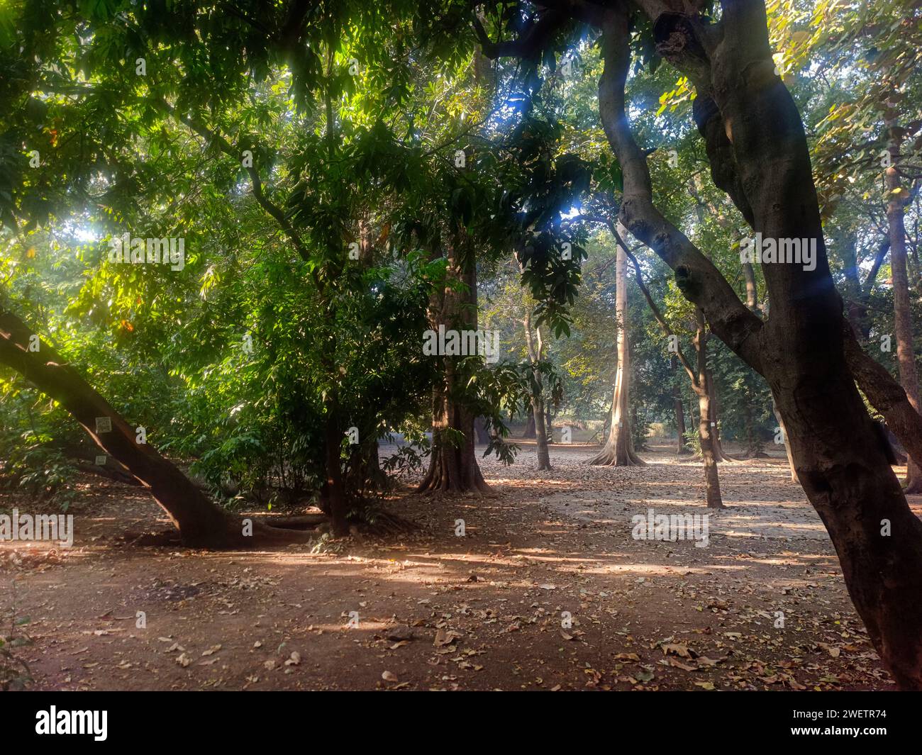 25 January 2024, Pune, India, Empress Botanical Garden, a beautiful ...