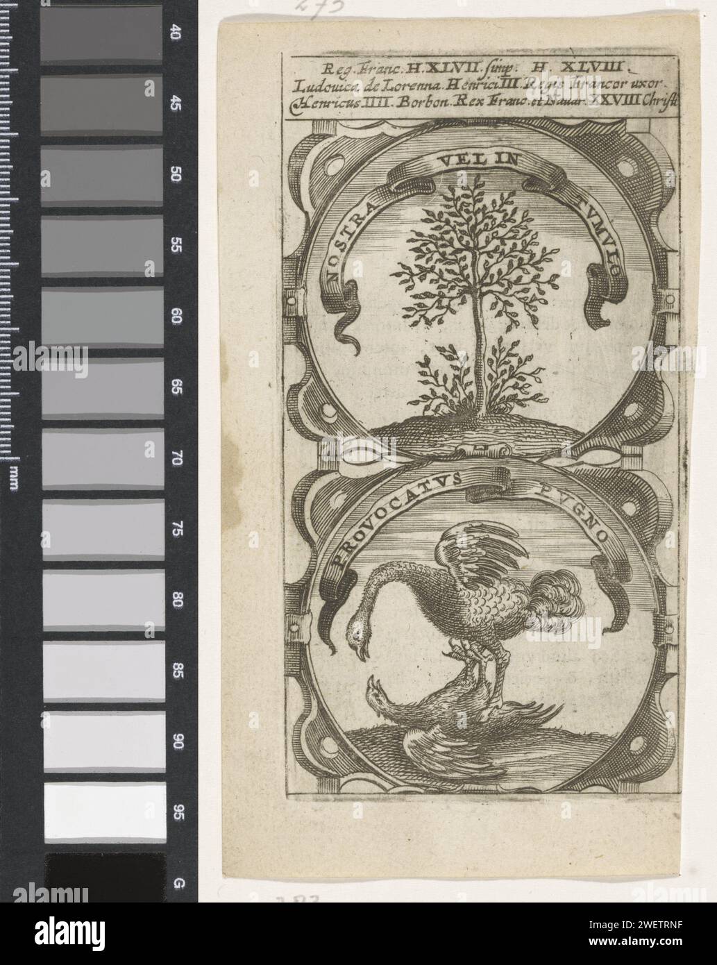 Boom / two fighting birds, Anonymous, After Aegidius Sadeler (II), 1666 ...