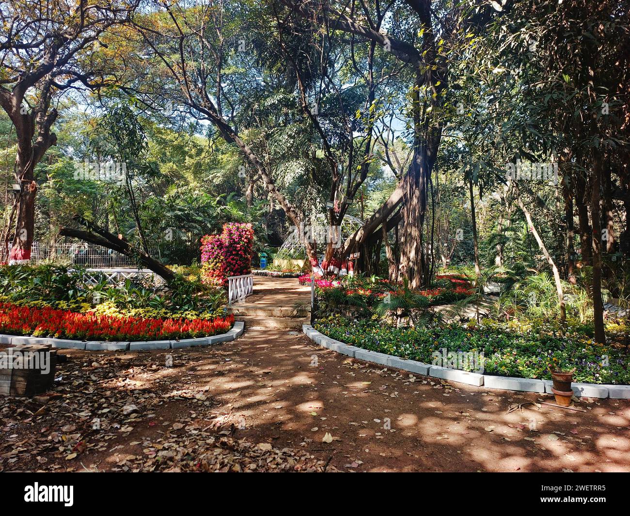 25 January 2024, Pune, India, Empress Botanical Garden, a beautiful ...