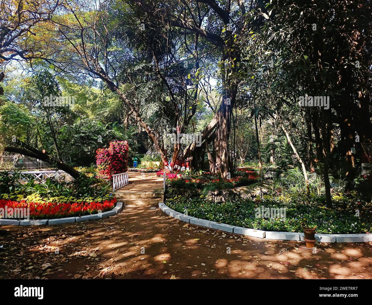 25 January 2024, Pune, India, Empress Botanical Garden, a beautiful green paradise in the heart ...