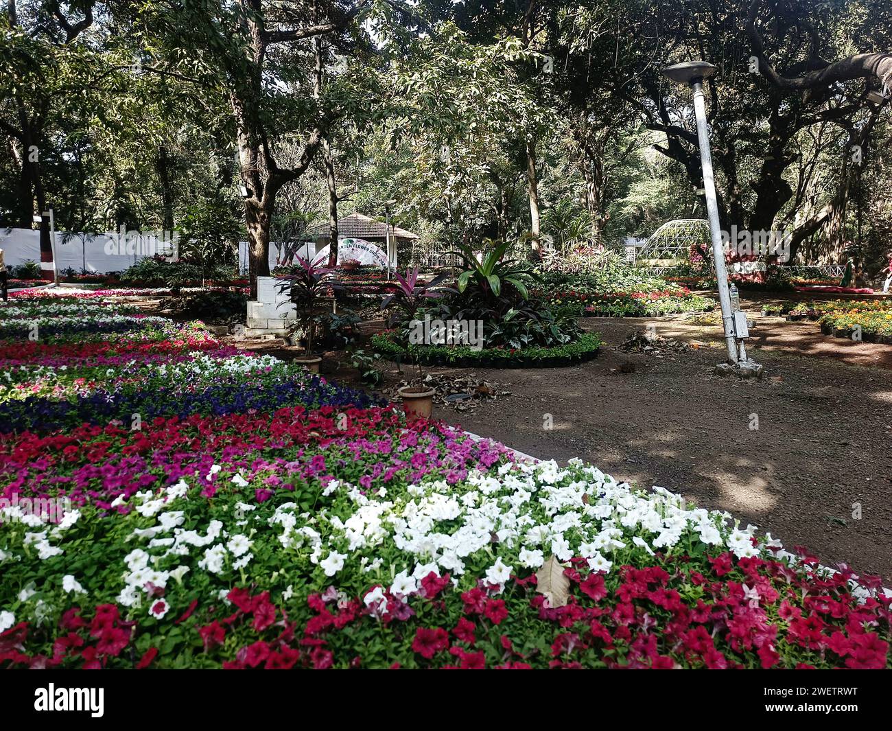 25 January 2024, Pune, India, Empress Botanical Garden, a beautiful ...