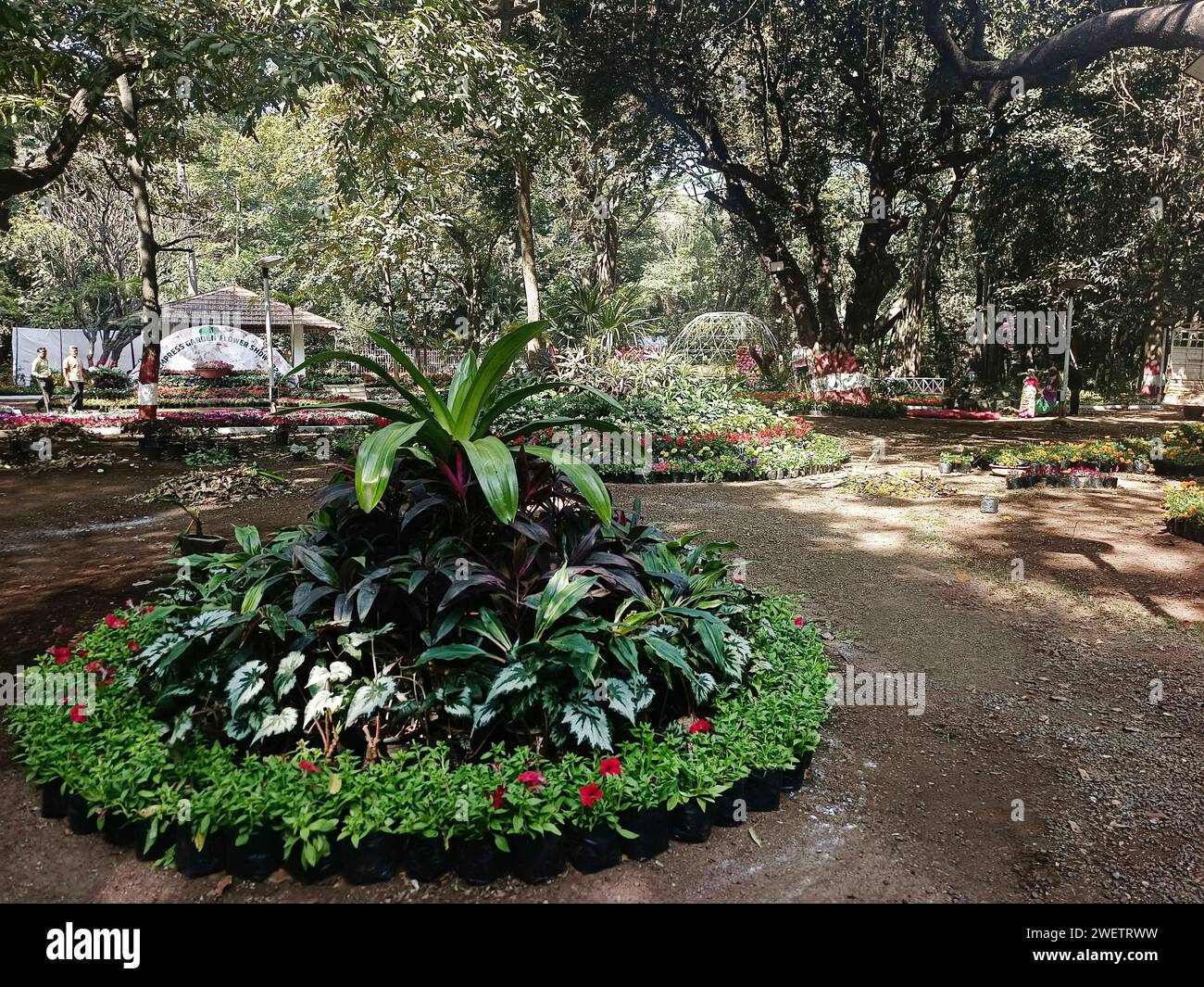 25 January 2024, Pune, India, Empress Botanical Garden, a beautiful ...