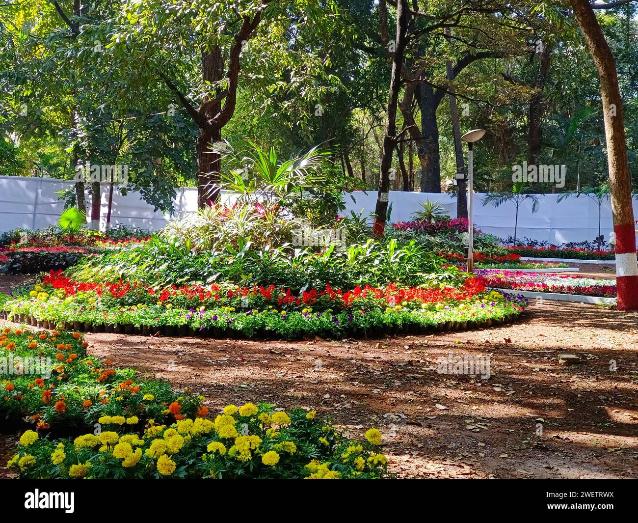 25 January 2024, Pune, India, Empress Botanical Garden, a beautiful ...