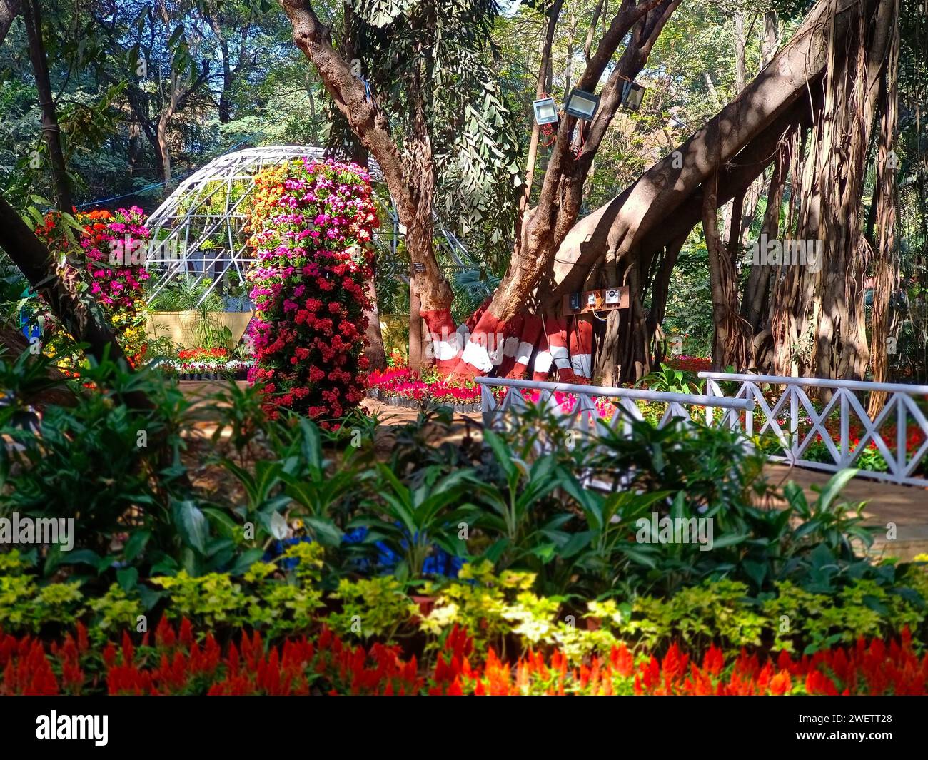 25 January 2024, Pune, India, Empress Botanical Garden, a beautiful green paradise in the heart ...