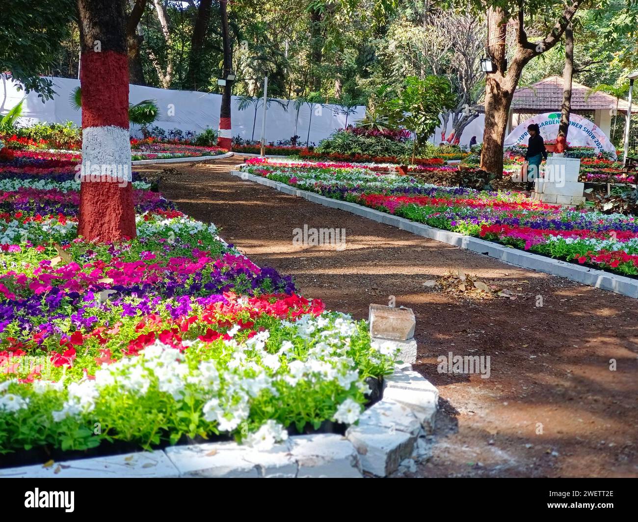 25 January 2024, Pune, India, Empress Botanical Garden, a beautiful ...