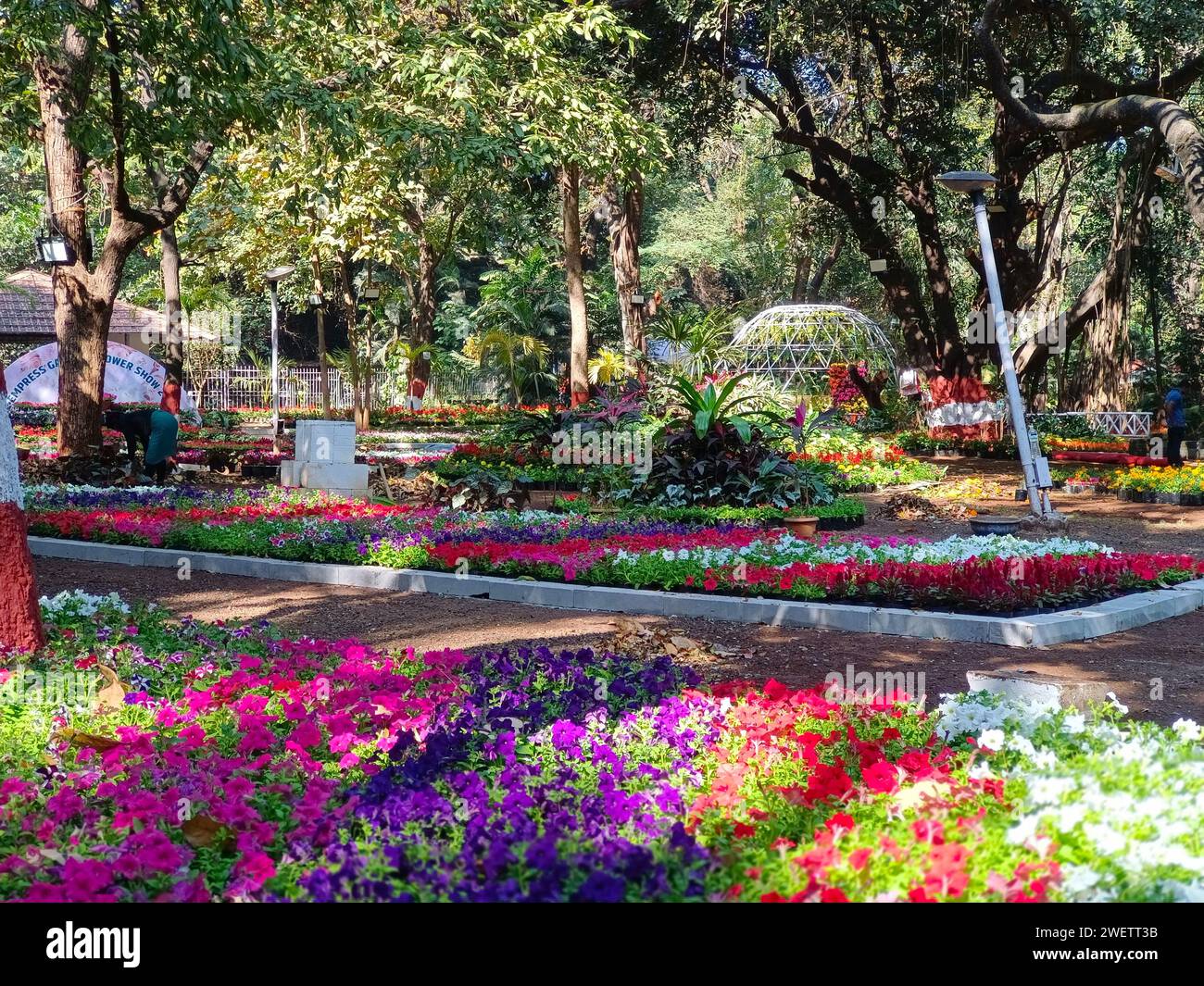 25 January 2024, Pune, India, Empress Botanical Garden, a beautiful ...