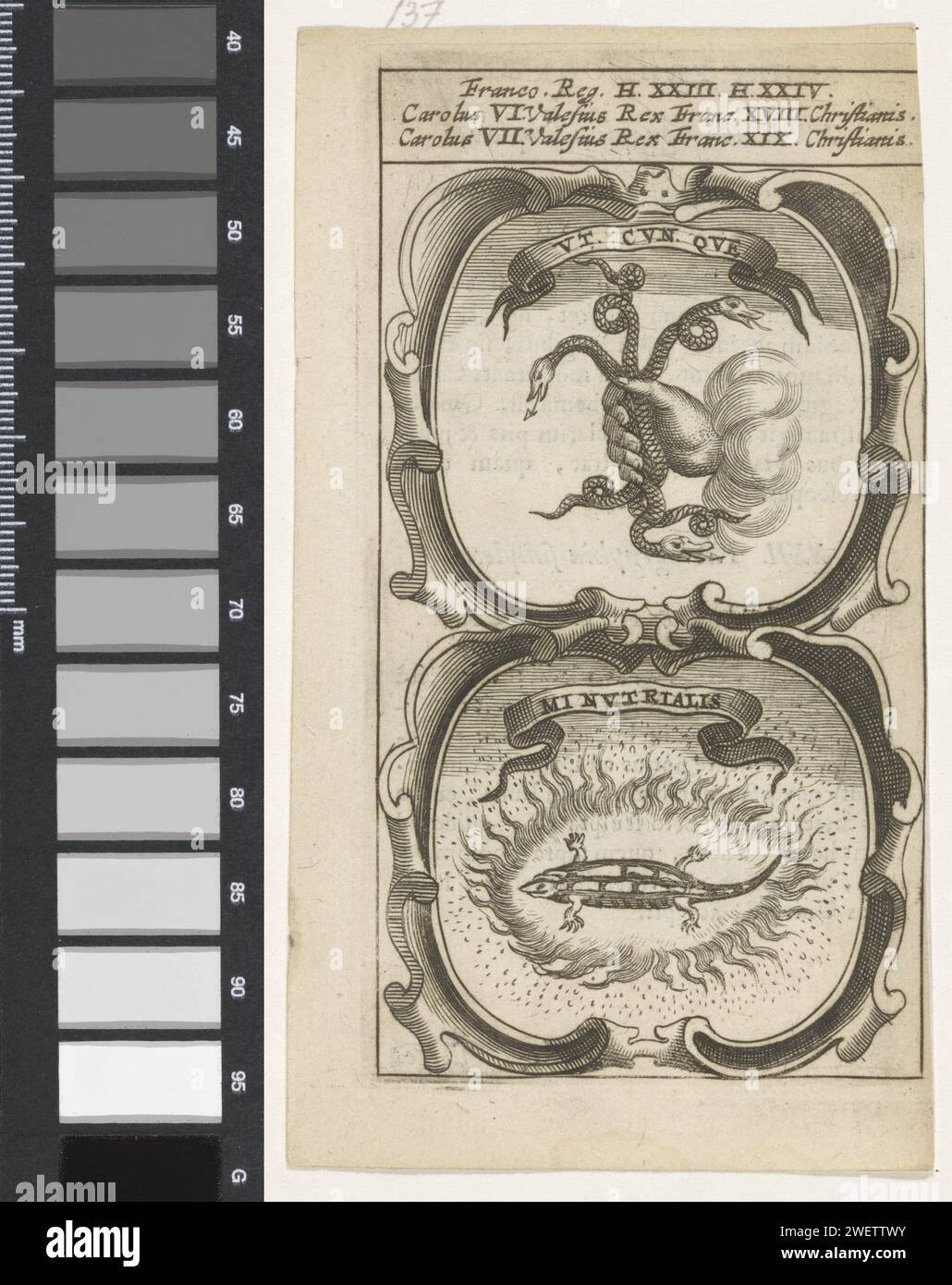 Three snakes hi-res stock photography and images - Alamy