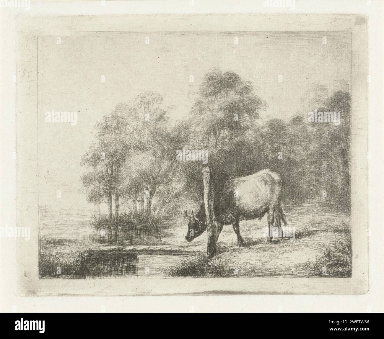Landscape with a cow next to a ditch, Antonie Franciscus Dona, 1817 ...
