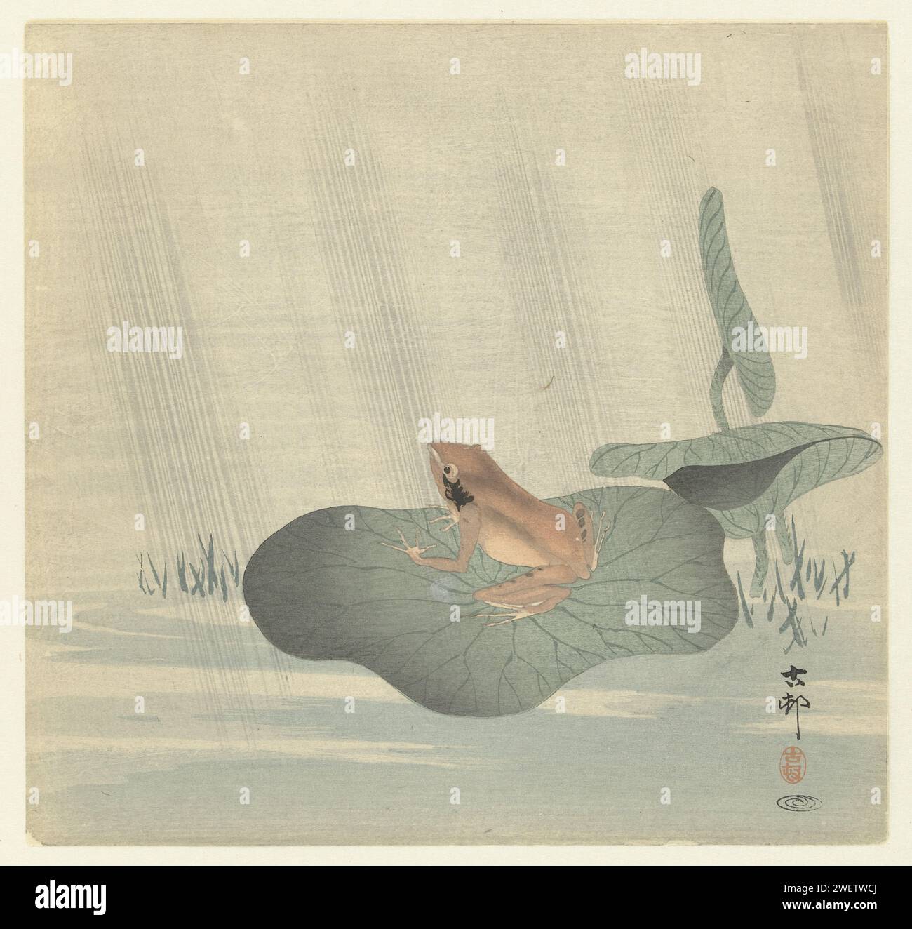 Frog on Lotusblad, Ohara Koson, 1900 - 1930 print Frog on Lotus leaf in ...