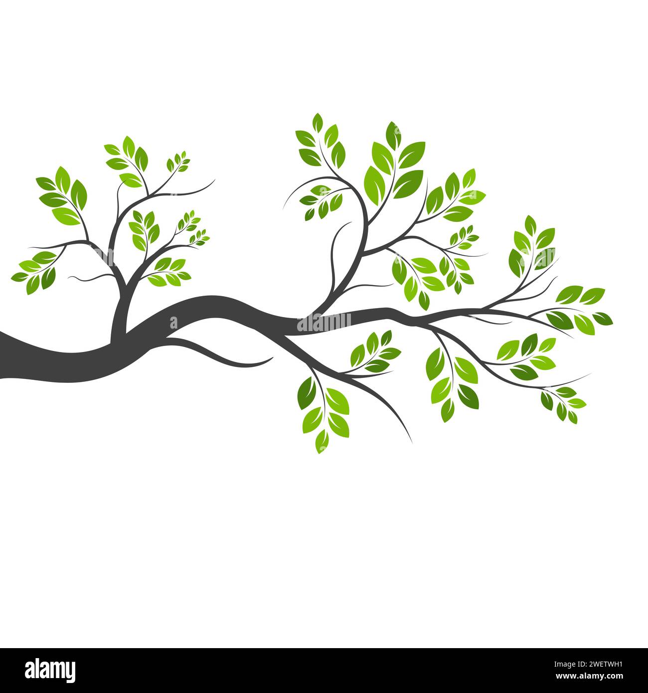 tree branch vector ilustration design template Stock Vector Image & Art ...
