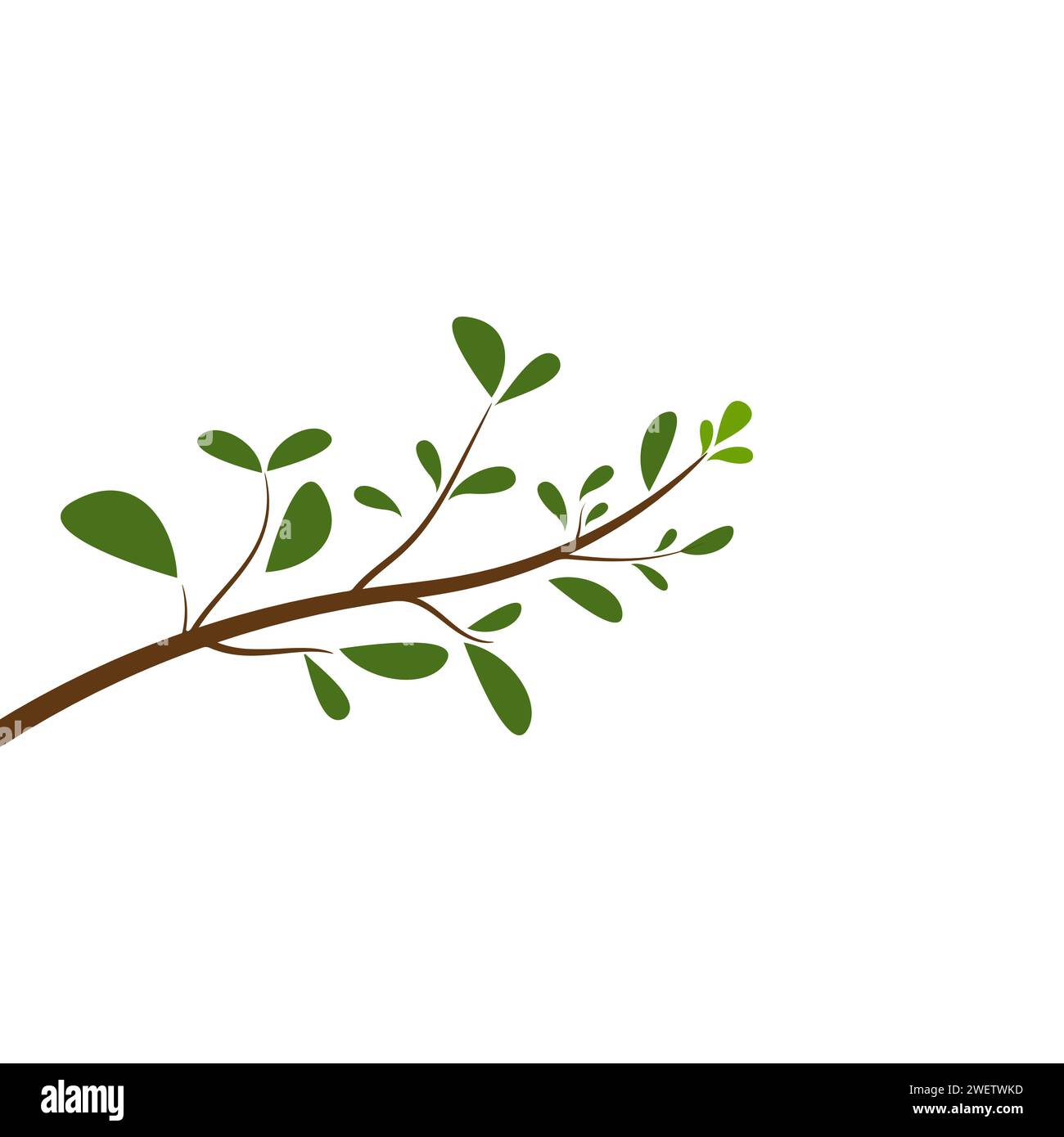 tree branch vector ilustration design template Stock Vector Image & Art ...
