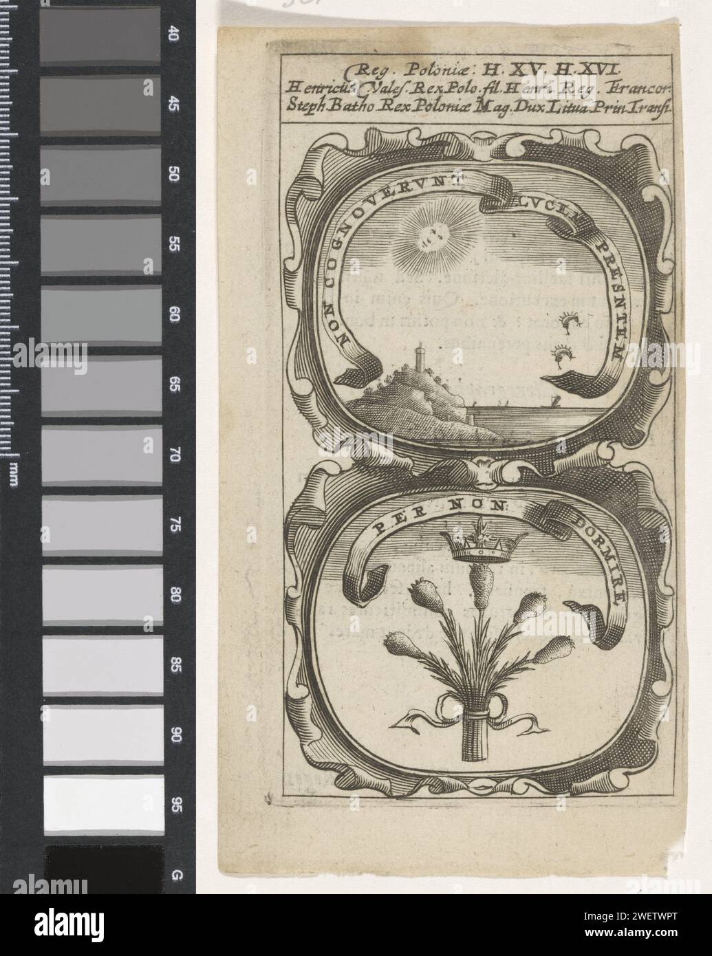 Landscape in the sun / crowned buttons of the poppy plant, Anonymous ...