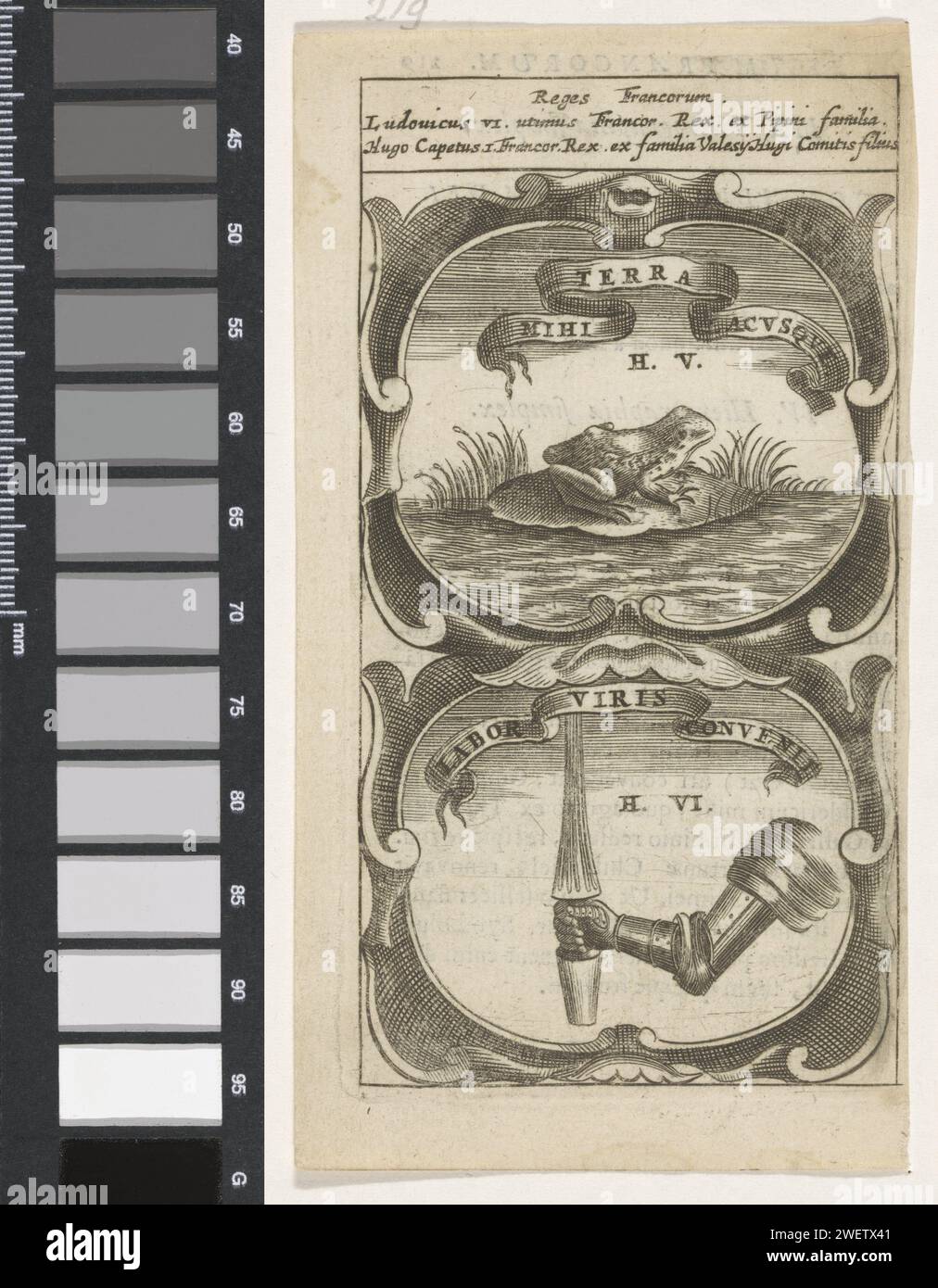 Frog between the grass / harnessed arm with lans, anonymous, after ...