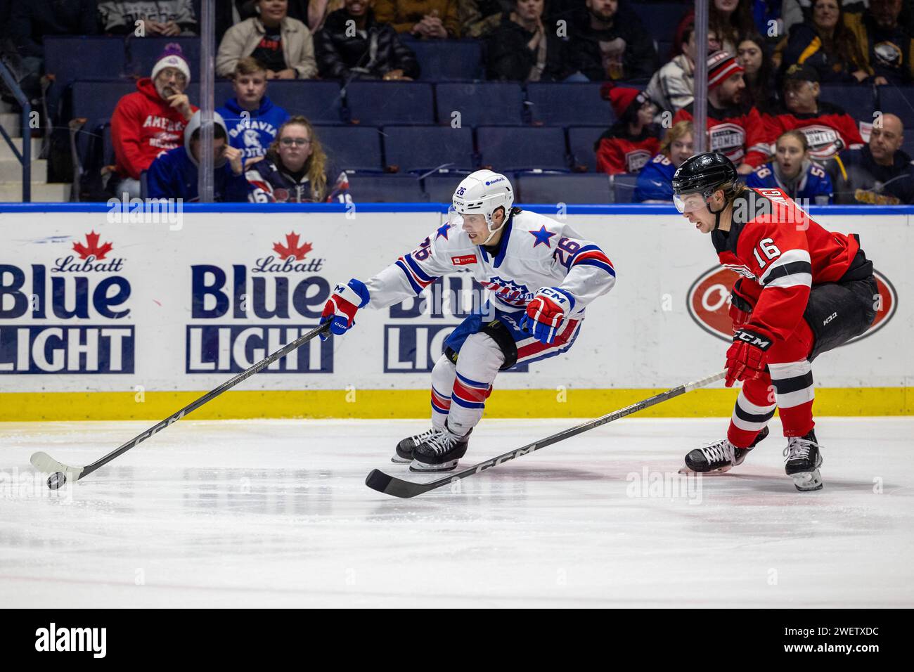 January 26th, 2024: Rochester Americans forward Mason Jobst (26) skates ...