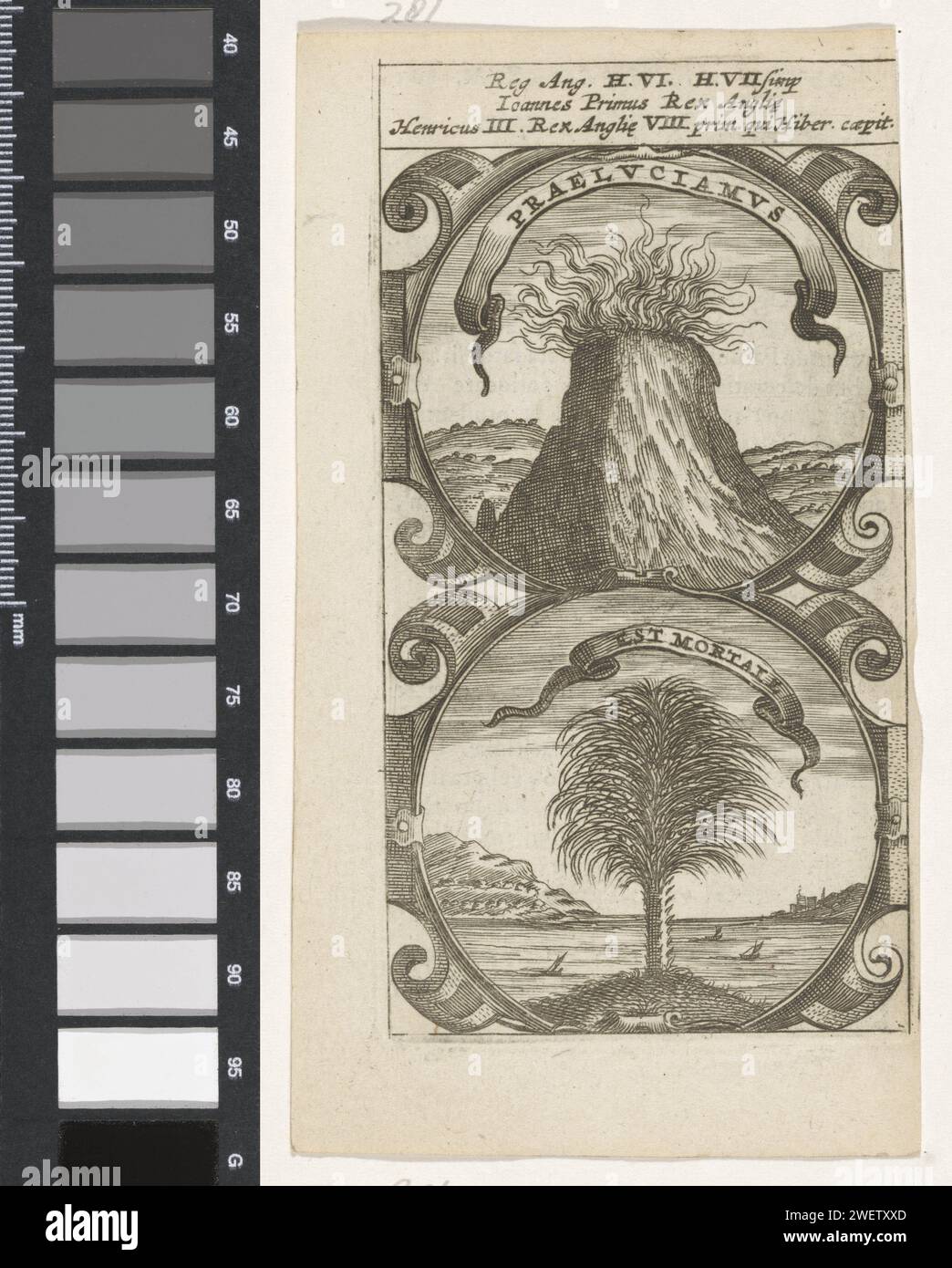 Landscape with volcano / palm tree on the water, Anonymous, After ...