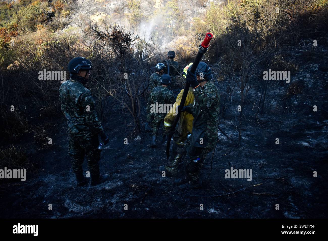 Bogota, Colombia. 25th Jan, 2024. Colombian soldiers help firefighters ...