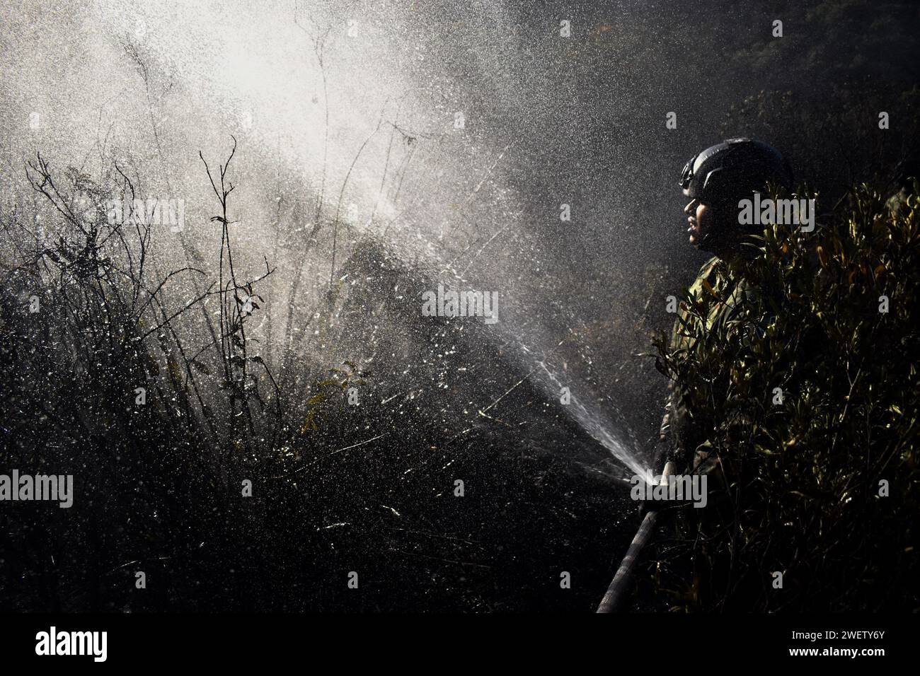 Bogota, Colombia. 25th Jan, 2024. Colombian soldiers help firefighters ...