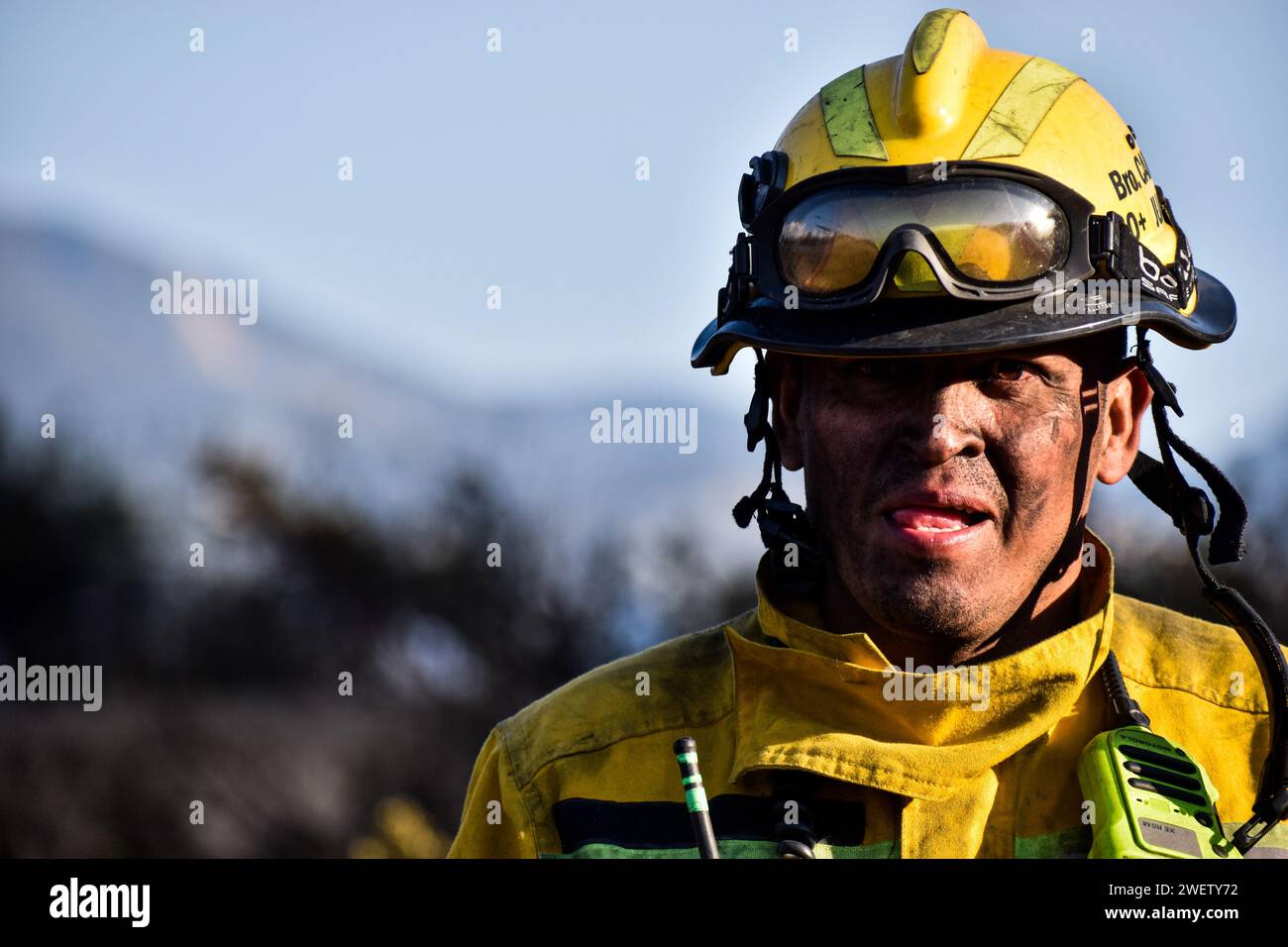 Bogota, Colombia. 25th Jan, 2024. Firefighters work to extinguish the ...