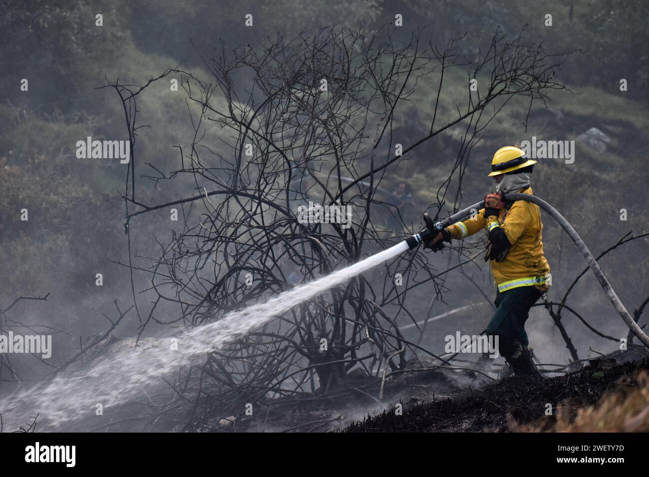 Bogota, Colombia. 25th Jan, 2024. Firefighters work to extinguish the ...