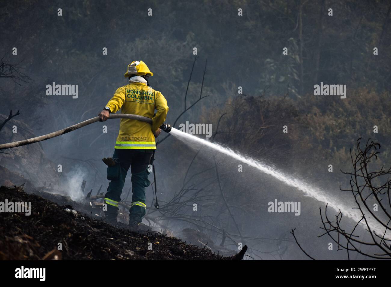 Bogota, Colombia. 25th Jan, 2024. Firefighters work to extinguish the ...