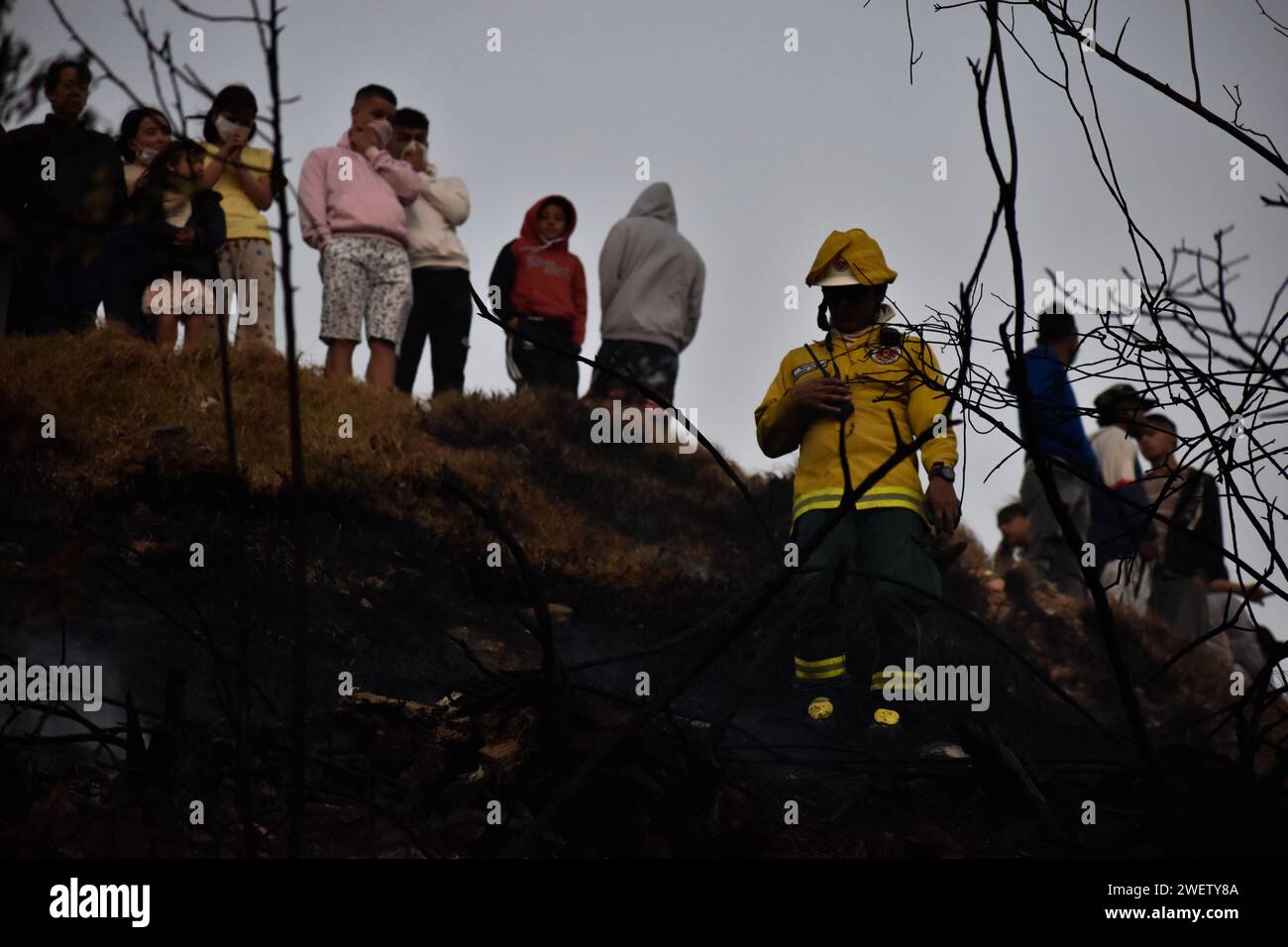 Bogota, Colombia. 25th Jan, 2024. Firefighters work to extinguish the ...