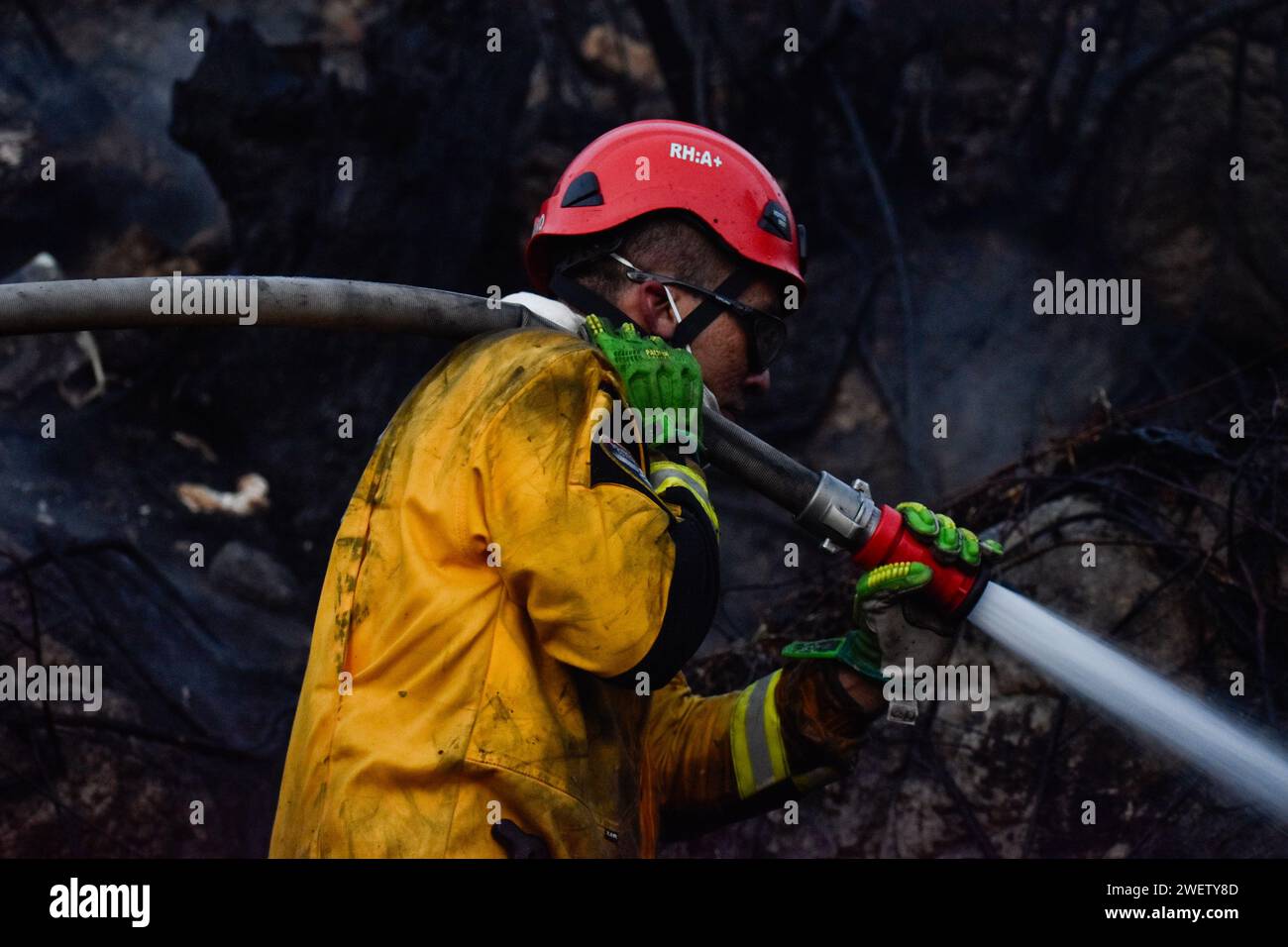 Bogota, Colombia. 25th Jan, 2024. Firefighters work to extinguish the ...