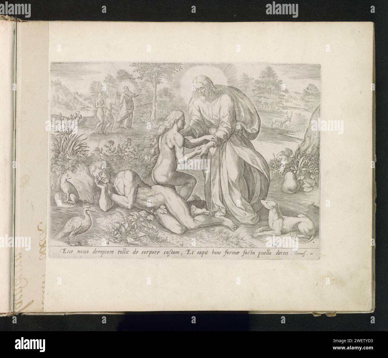 Creation of Eva, Johann Sadeler (I), After Chrispijn van den Broeck ...