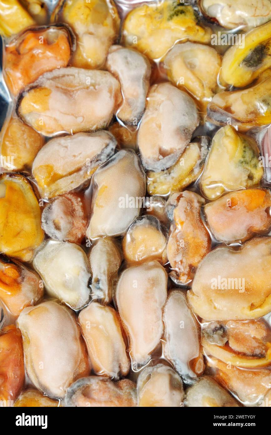 Frozen mussels background. Frozen seafood. Wholesale of fish. Peeled ...