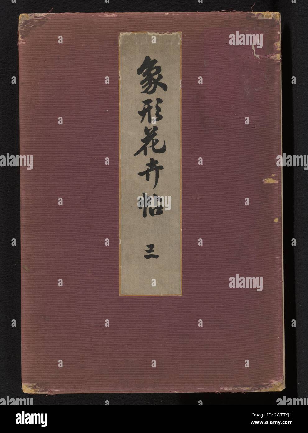 Flowers in large format - Part three, 1926 - 1929 Leporelloalbum; part ...