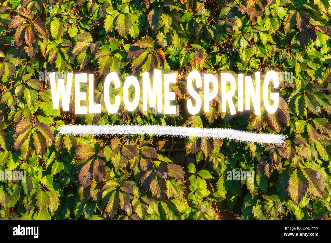 Welcoming text Welcome Spring overlays a lush backdrop of fresh, green ...