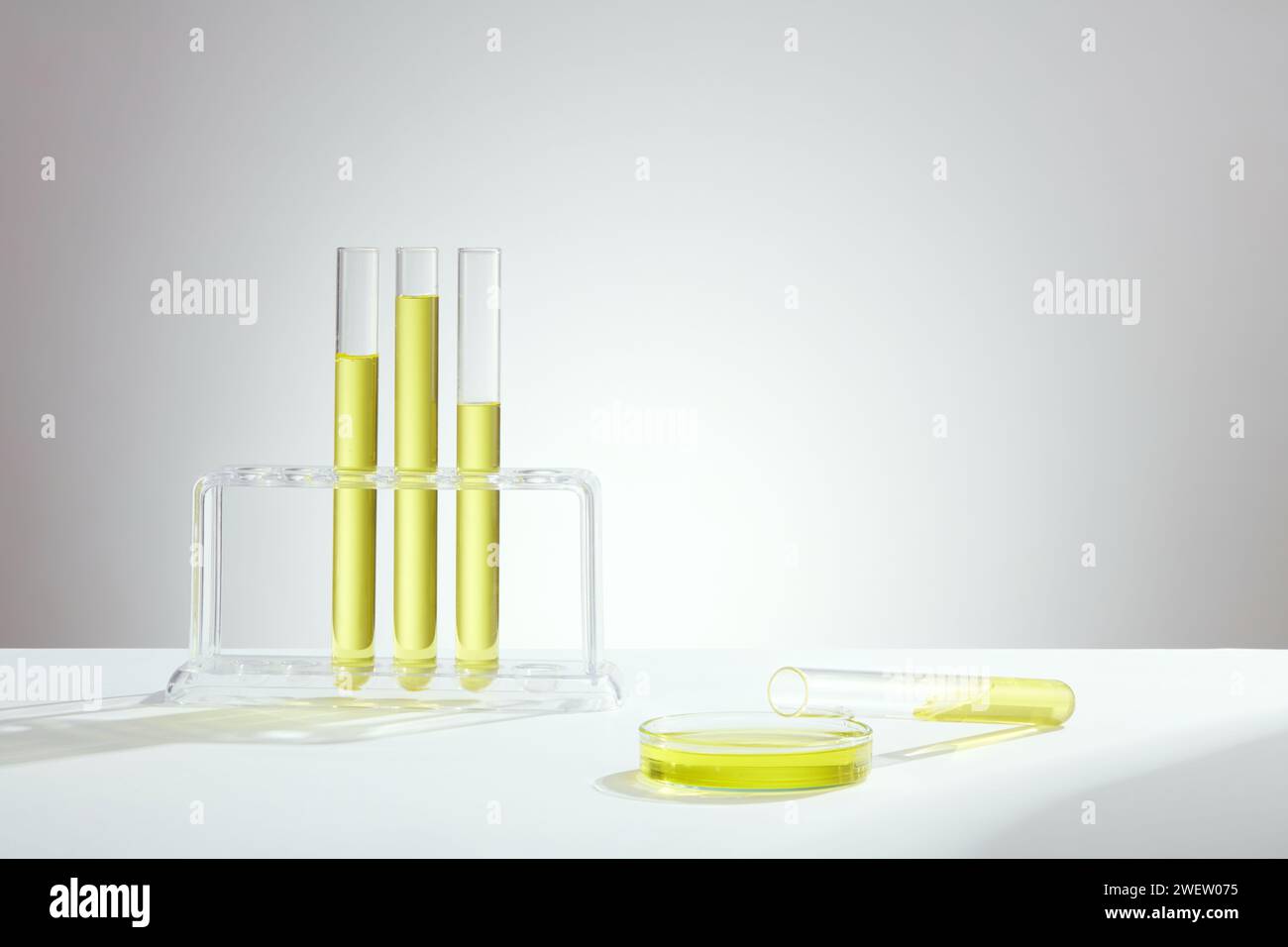 Front view of laboratory equipment filled with yellow liquid in tests ...