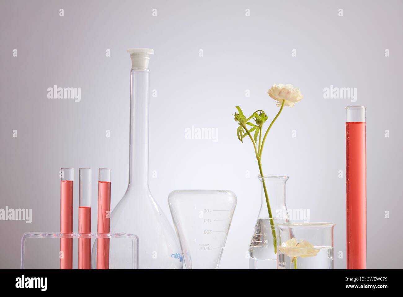 Lab theme with laboratory equipment filled with red liquid in light ...