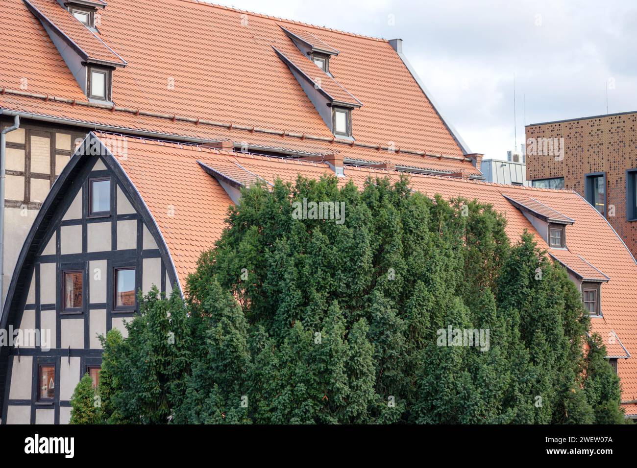Buildings with red tile roofs on a background of blue sky and green ...