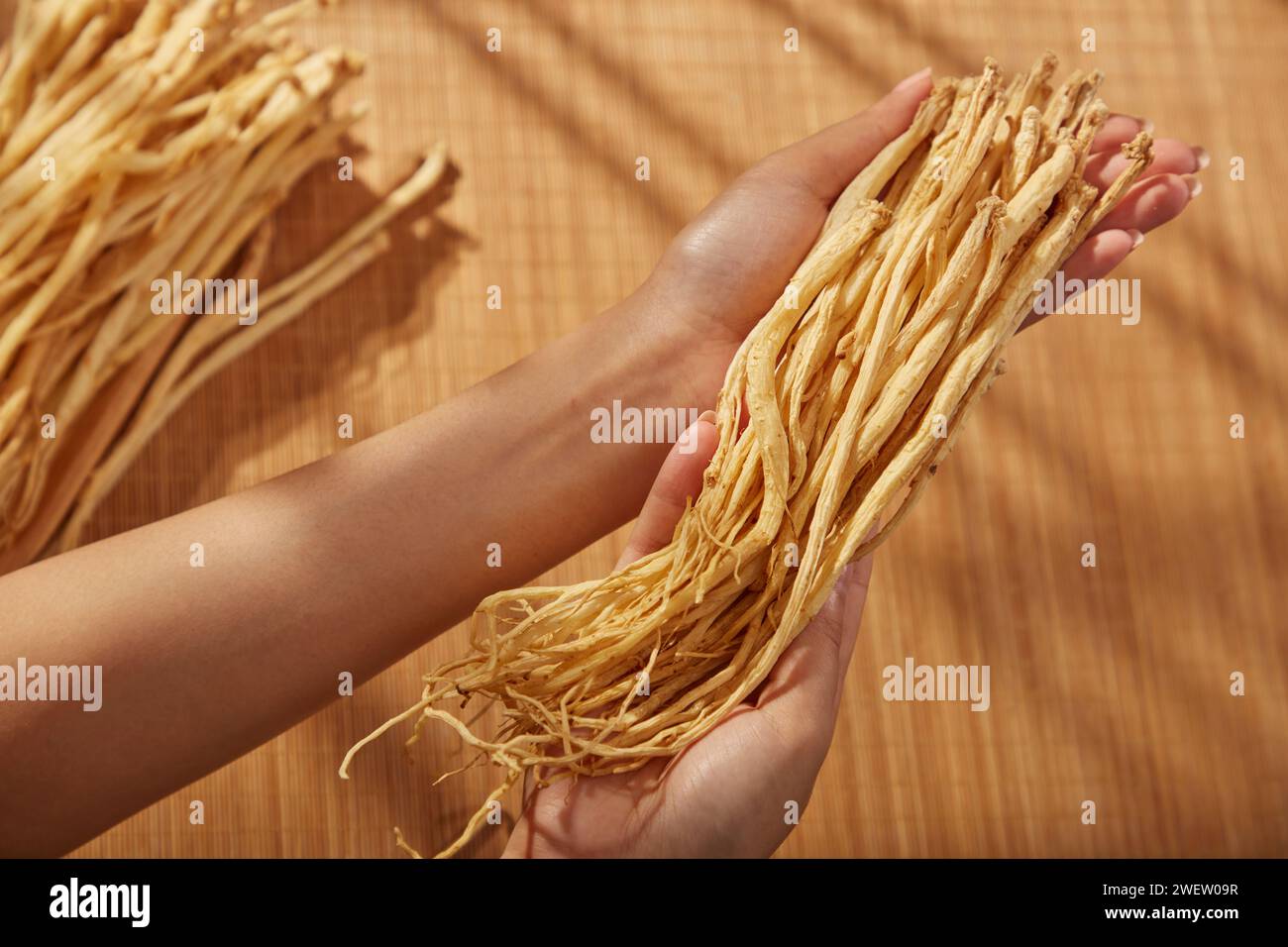 Root of pilose asiabell hi-res stock photography and images - Alamy