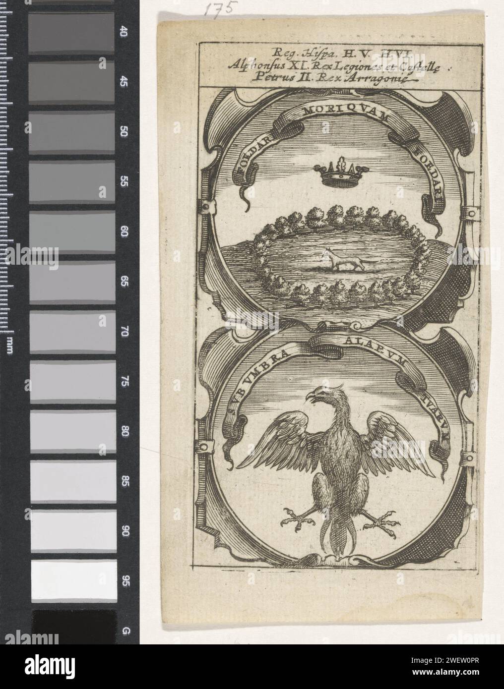 Vos circle hi-res stock photography and images - Alamy