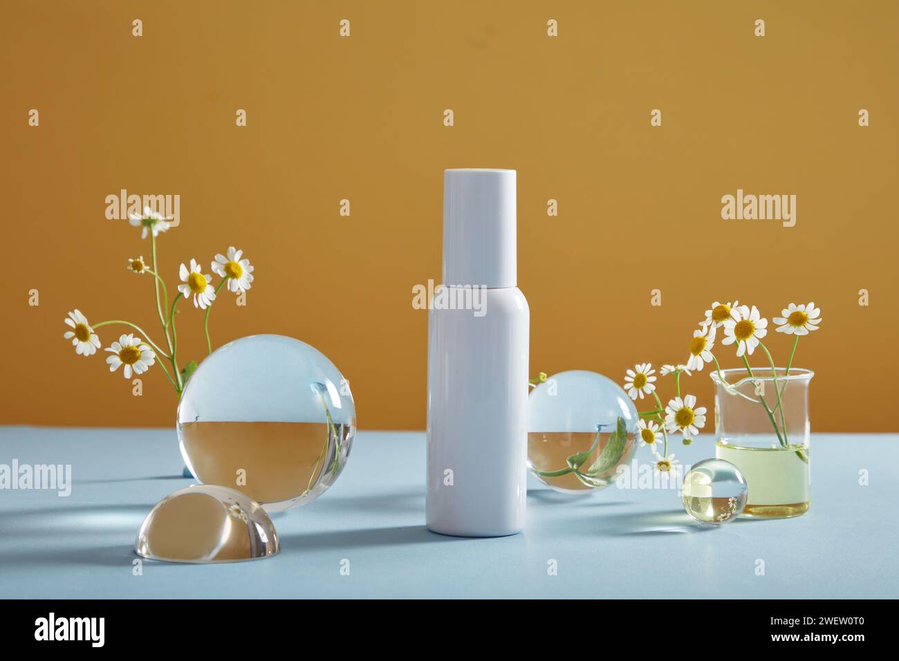 Mockup scene with empty bottle for cosmetics of feverfew (tanacetum ...