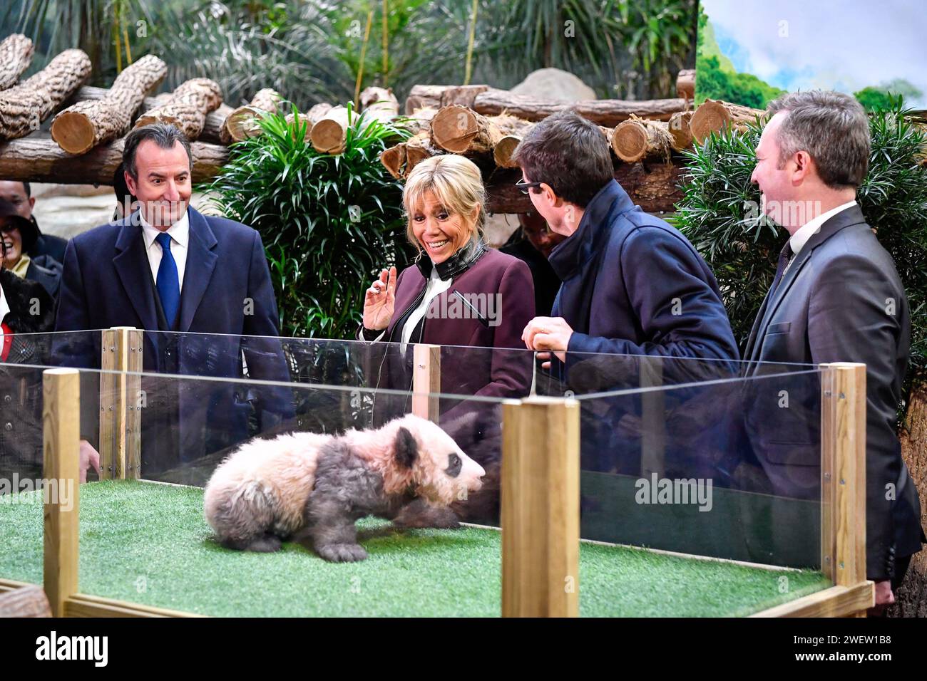 Emmanuel macron baby hi-res stock photography and images - Alamy