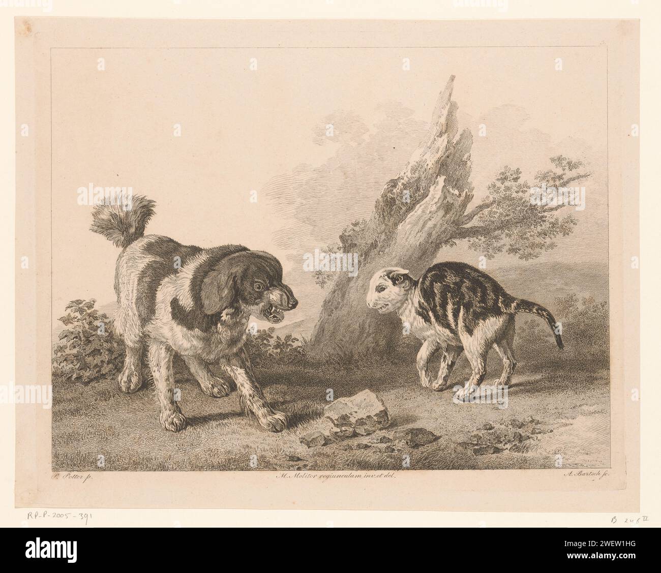 Dog and cat in fighting attitude opposite each other, 1809 print paper ...